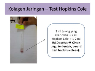 Praktikum biokimia blok 17 Muskuloskeletal | PPTX