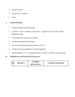 Praktikum bio protista | DOCX