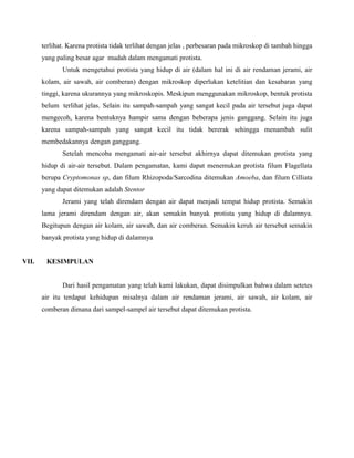 Praktikum bio protista | DOCX