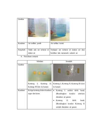 Praktikum difusi dan osmosis | DOCX