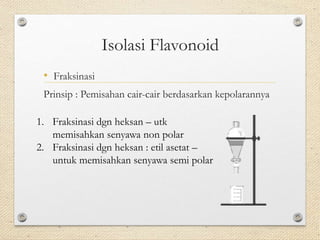 PPT Isolasi Benalu Teh | PPTX