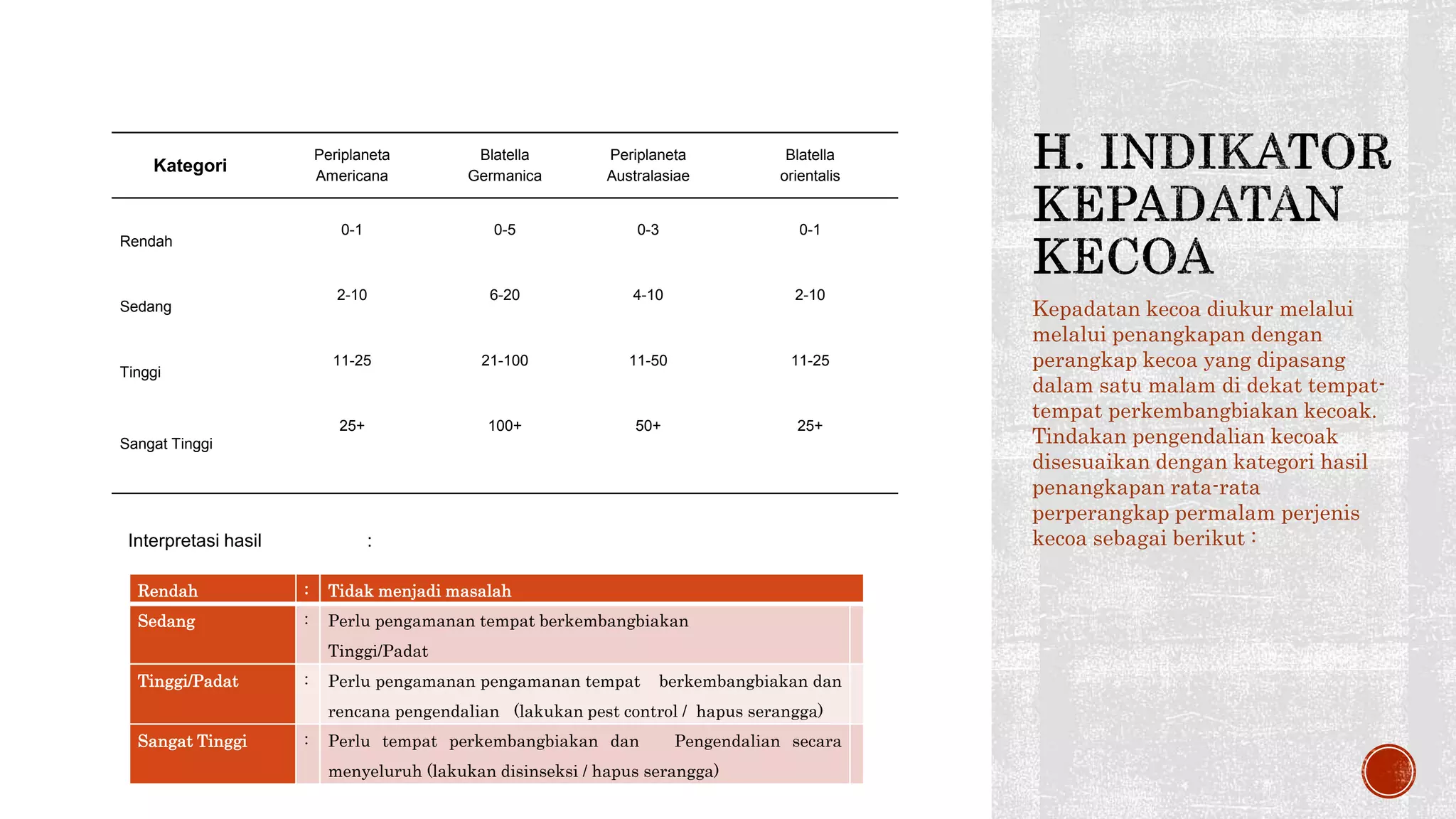 survey kepadatan kecoa | PPTX