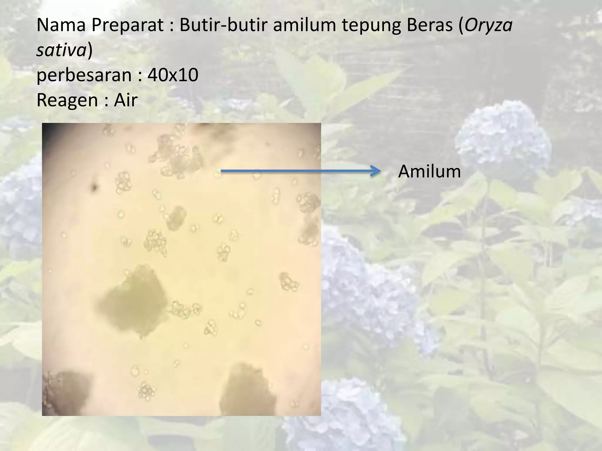 Praktikum ketiga kelompok 4 | PPTX