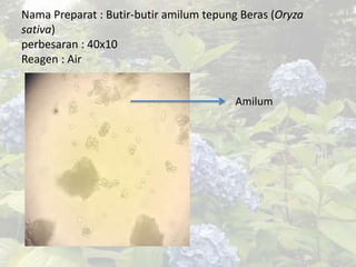 Praktikum ketiga kelompok 4 | PPTX