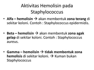 Praktikum mikrobiologi blok 17 – sistem muskoskeletal | PDF