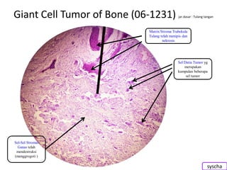 Praktikum pa muskuloskeletal | PDF