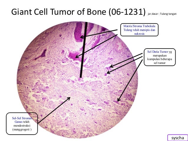 Praktikum pa muskuloskeletal