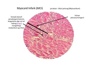 Praktikum Patologi Anatomi | PPT