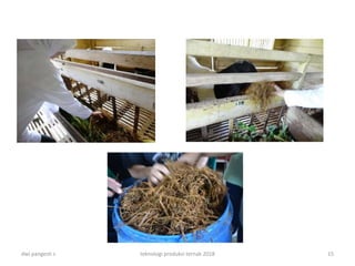 praktikum_pembuatan_silase_dan_amoniasi_jerami.pptx