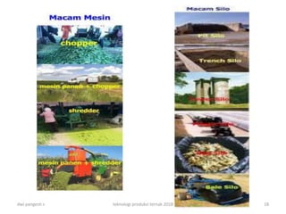 praktikum_pembuatan_silase_dan_amoniasi_jerami.pptx