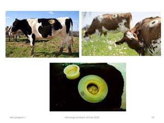 praktikum_pembuatan_silase_dan_amoniasi_jerami.pptx