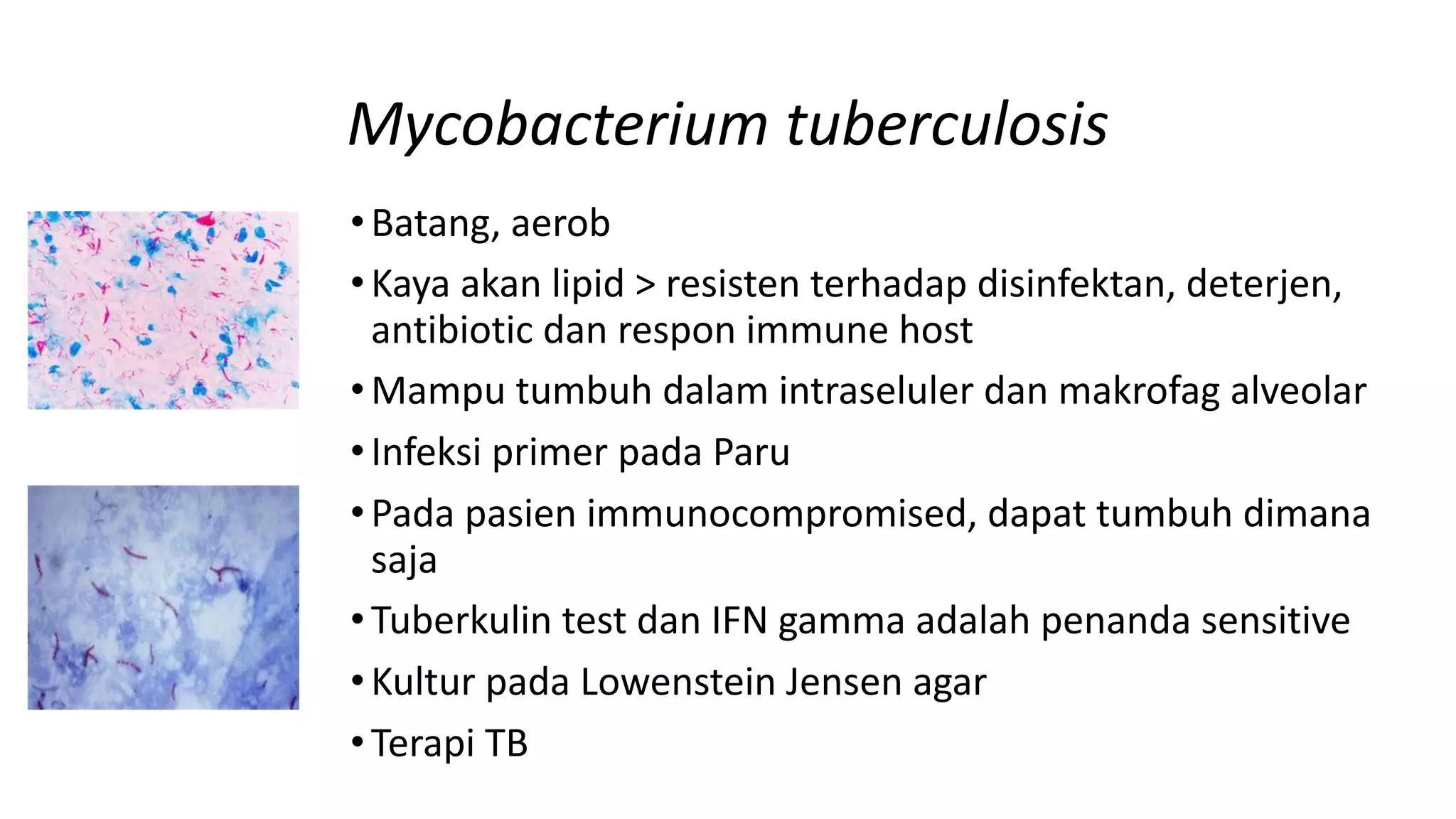 Praktikum respirasi.pptx.pdf