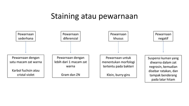 Praktikum respirasi.pptx.pdf
