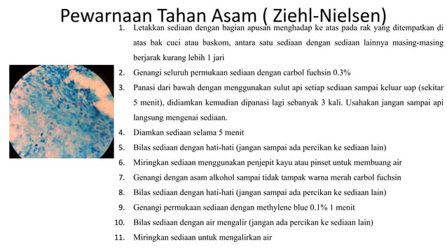 Praktikum respirasi.pptx.pdf