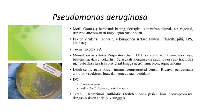 Praktikum respirasi.pptx.pdf