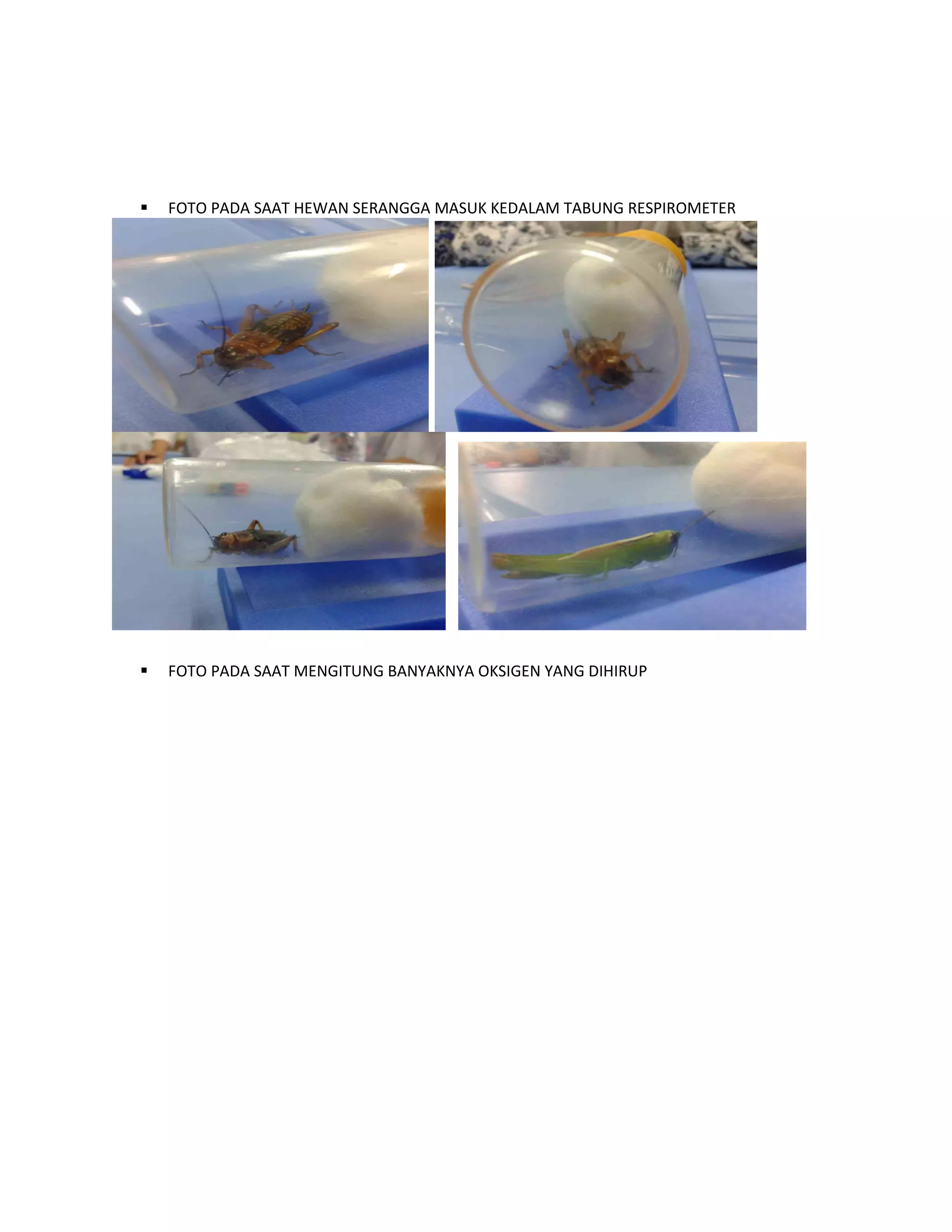 Praktikum respirometer | DOC