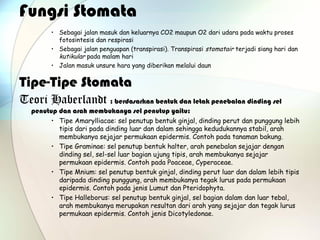Praktikum stomata daun praktikum farmakognosi | PPT