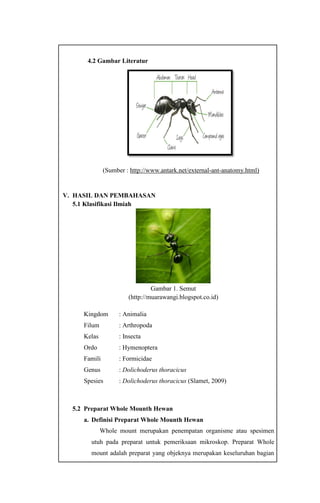 Praktikum whole mount hewan | PDF