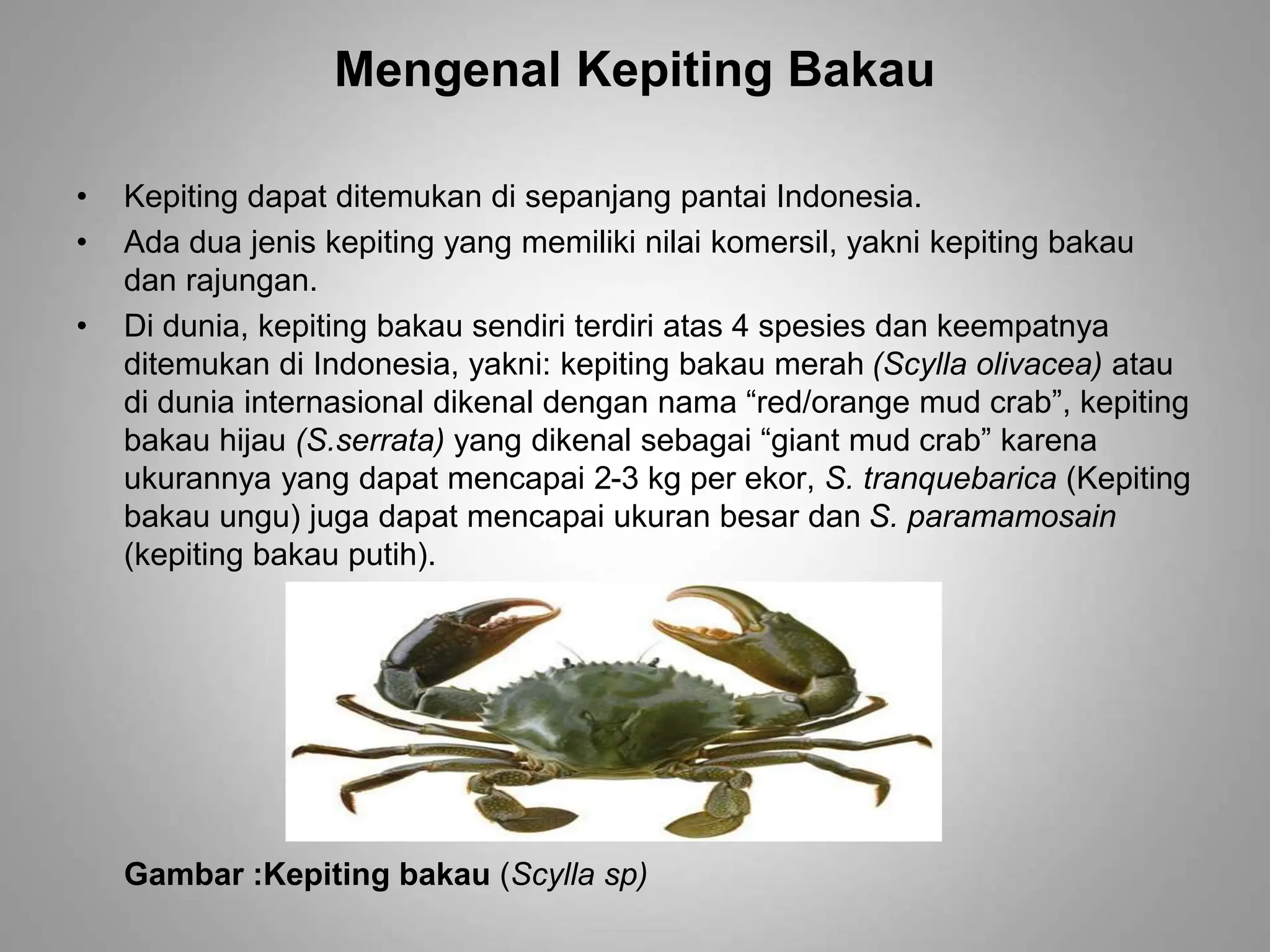 Praktisi mengajar kepiting 23 ditambak tawar | PPT