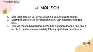 PRAK UJI KARBOHIDRAT.pptx