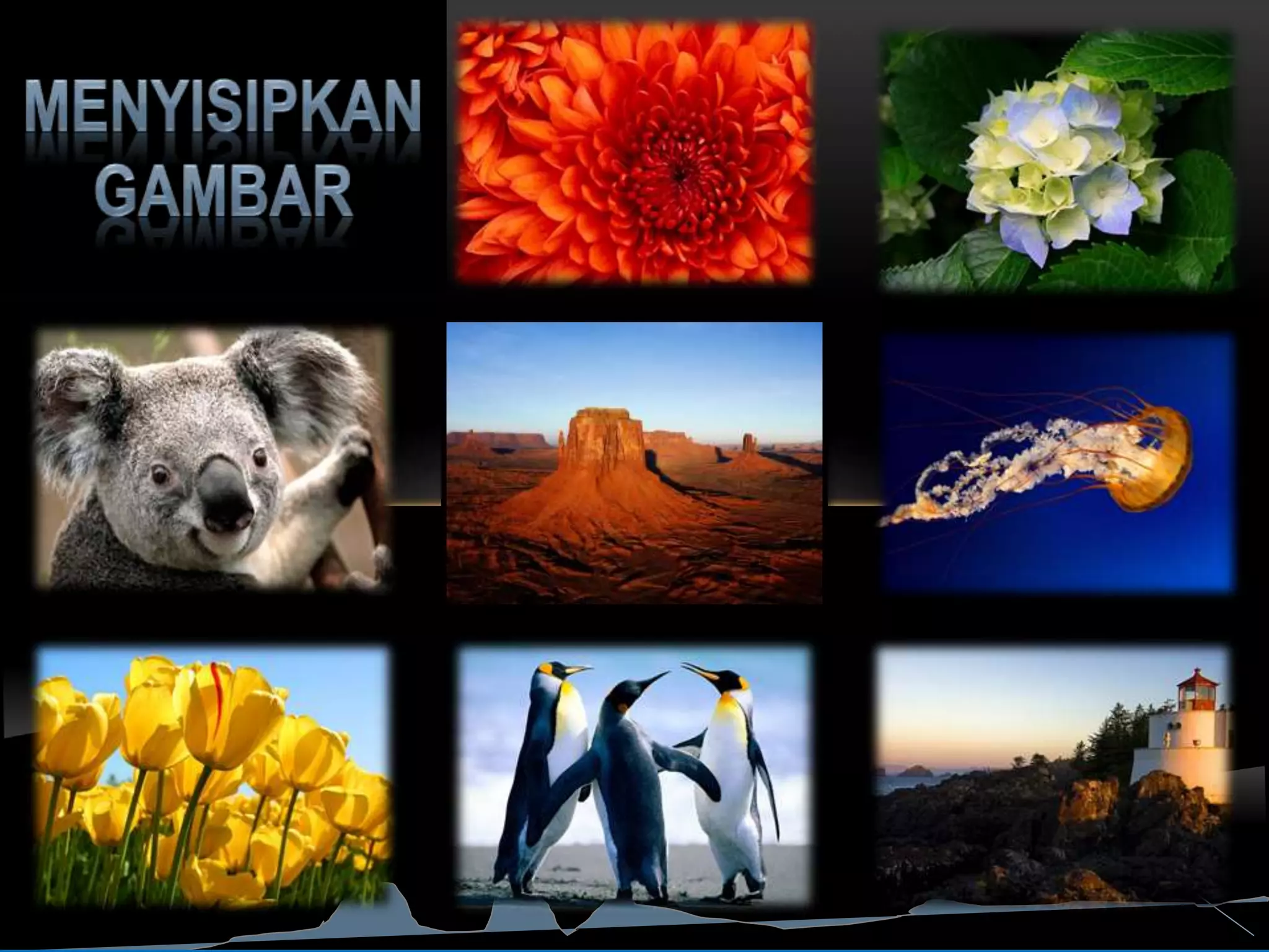 Pra latihan Power Point | PPT