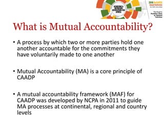 Improving JSR Practices at Country Level: Achievements and Gaps in ...