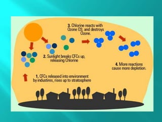 PPT on Ozone layer depeletion | PPT