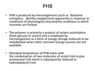 bioplastics by microorganisms Polyhydroxyalkanoates And ...