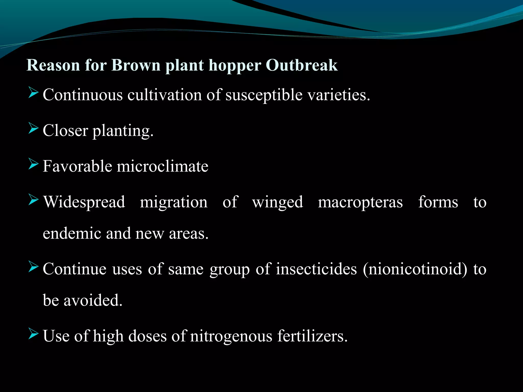 RICE BROWN PLANT HOPPER | PPT