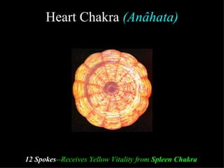 Prana and Chakras | PPT