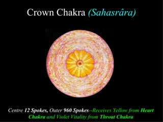 Prana and Chakras | PPT
