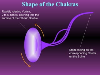 Prana and Chakras | PPT