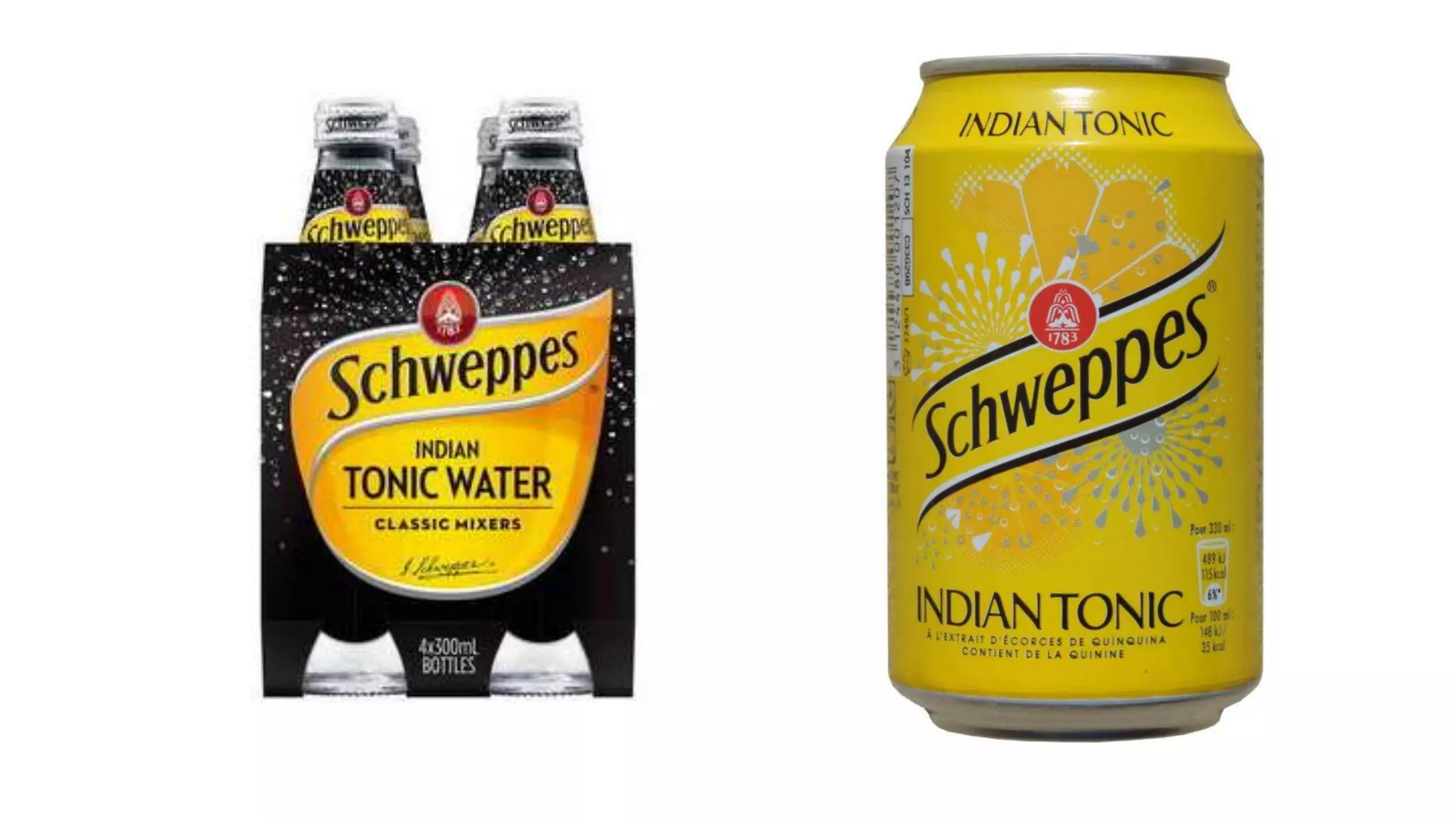 Standardization vs. Adaption | PPTX