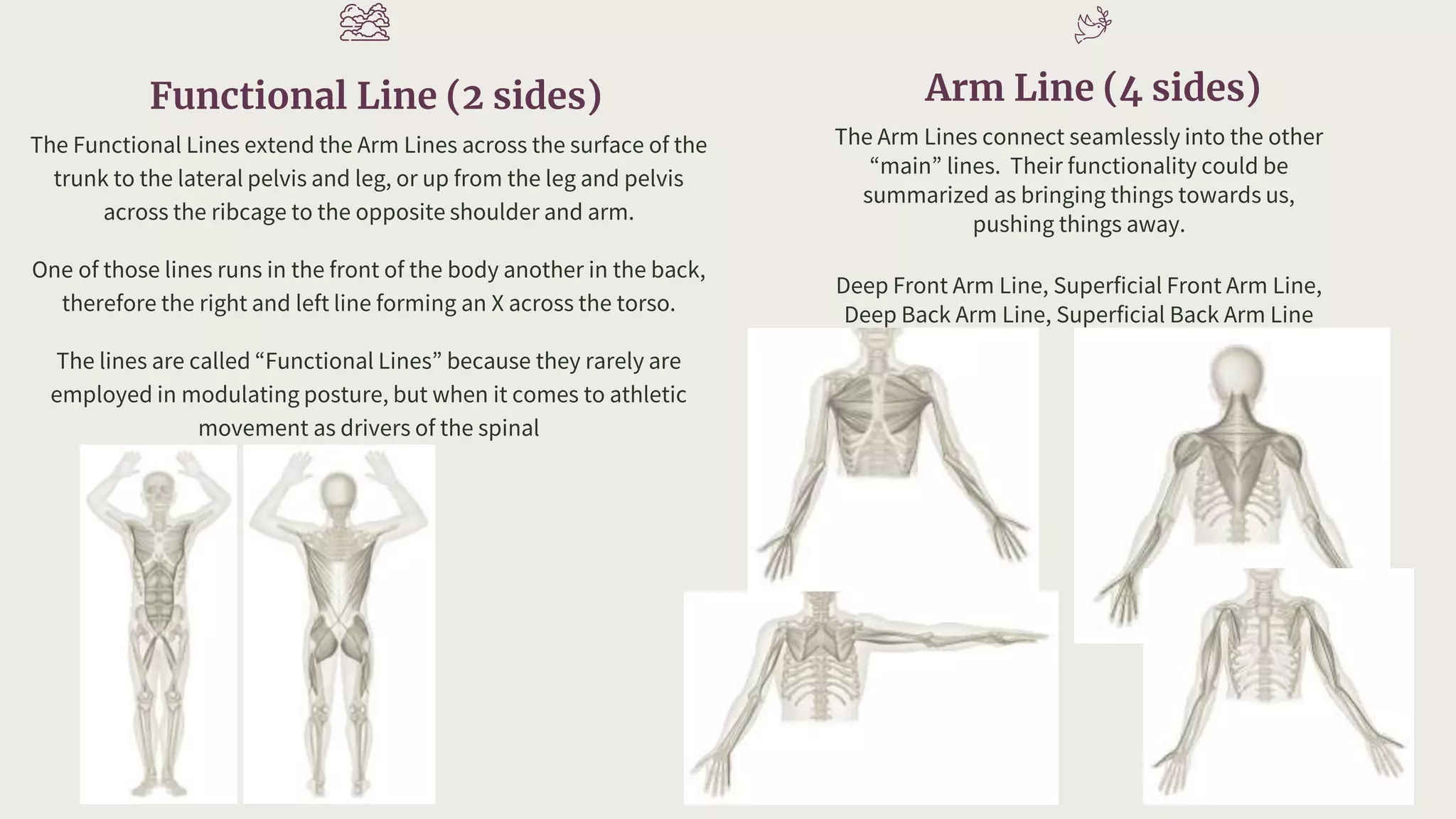 Fascia and Movement in Yoga | PPTX