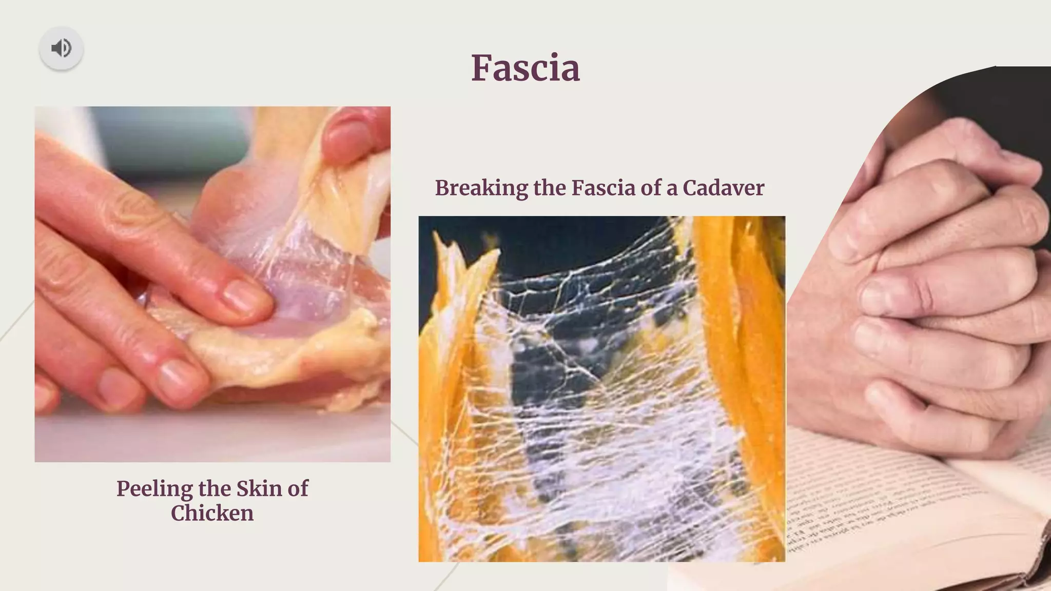 Fascia and Movement in Yoga | PPTX
