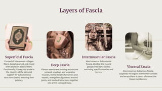 Fascia and Movement in Yoga | PPTX