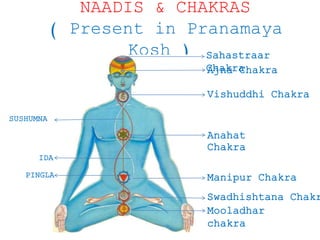 Pranayam charts | PPT