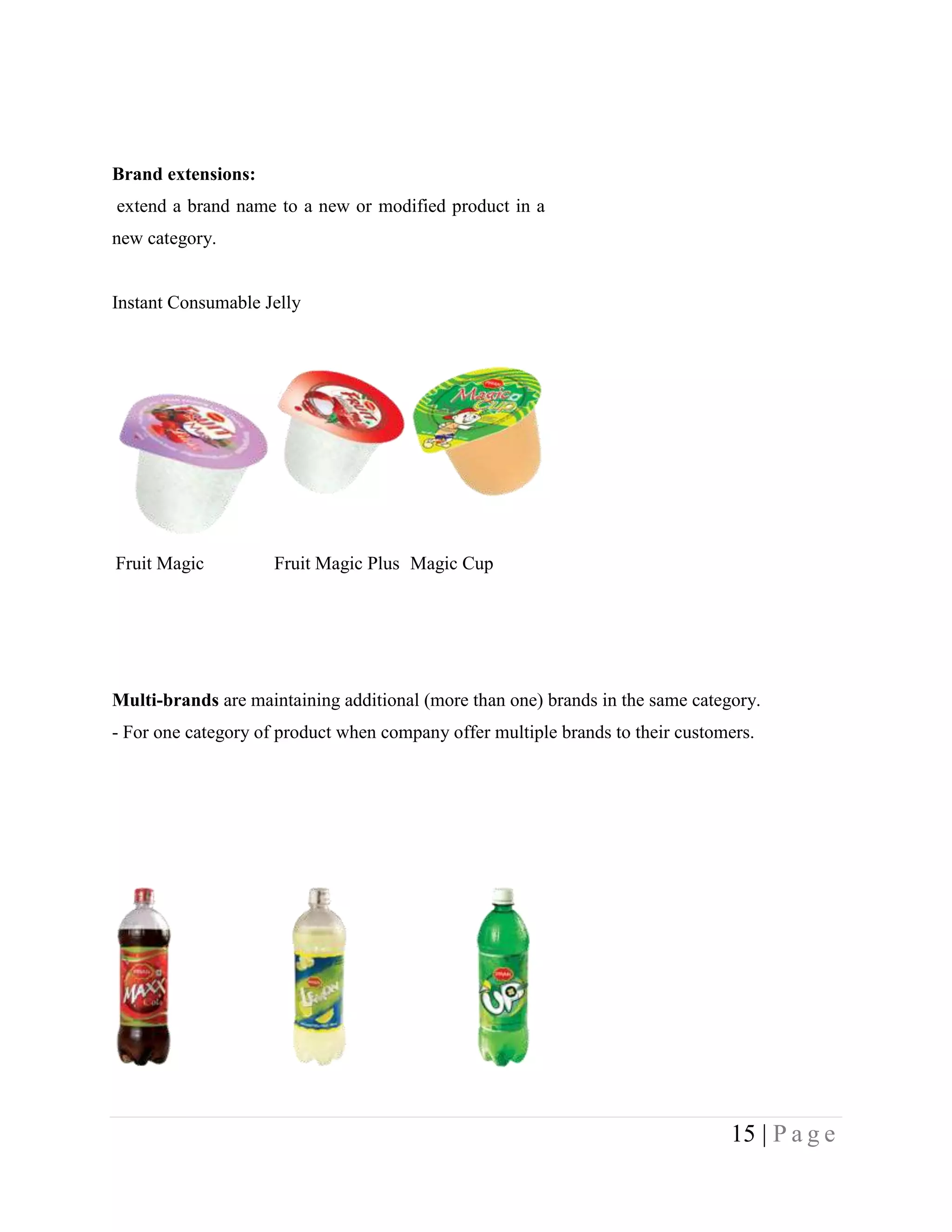 Pran RFL group Market analysis | DOCX