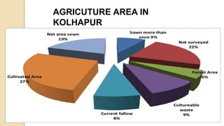 Agricultur Sector in kolhapur PPT created by pranit | PPTX