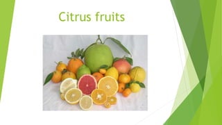 Citrus Crops and hazelnut Production technology | PPTX