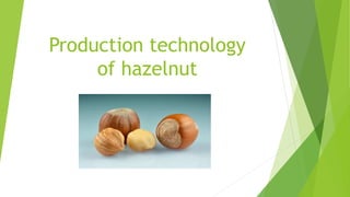 Citrus Crops and hazelnut Production technology | PPTX