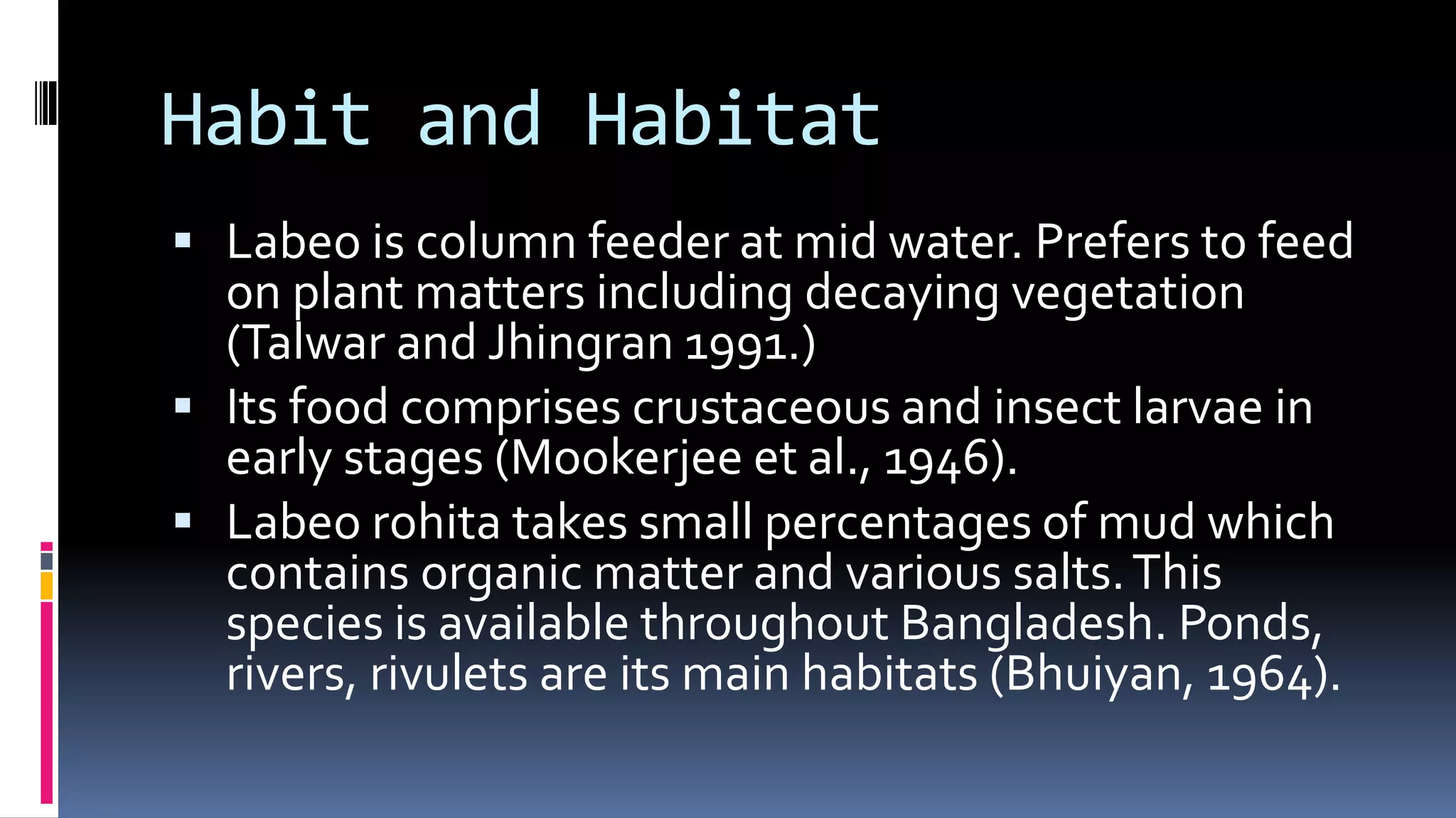 Labeo Rohita & Buffo | PPTX