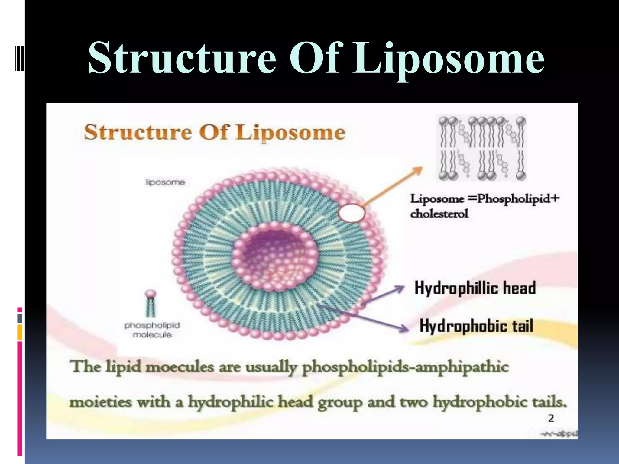 Liposomes- The controlled drug delivery system | PPTX
