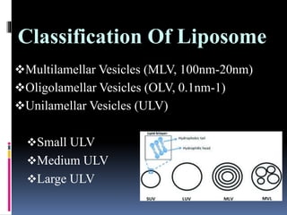 Liposomes- The controlled drug delivery system | PPTX