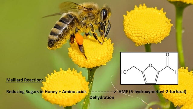 Extraction of Cytotoxic and Carcinogenic compound: HMF (5 ...