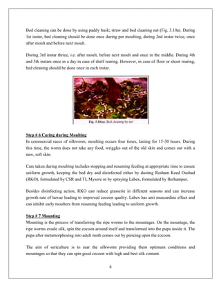 A Report on Sericulture | PDF