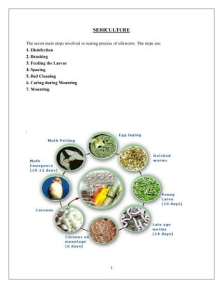 Sericulture Process