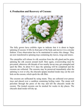 Notes on "SERICULTURE" for the school , UG and PG Students. | PDF