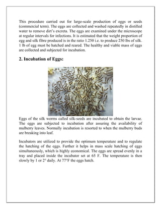 Notes on "SERICULTURE" for the school , UG and PG Students. | PDF