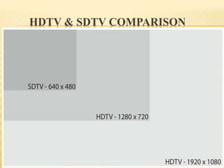 Prannoy and mitesh | PPTX | History | Genres